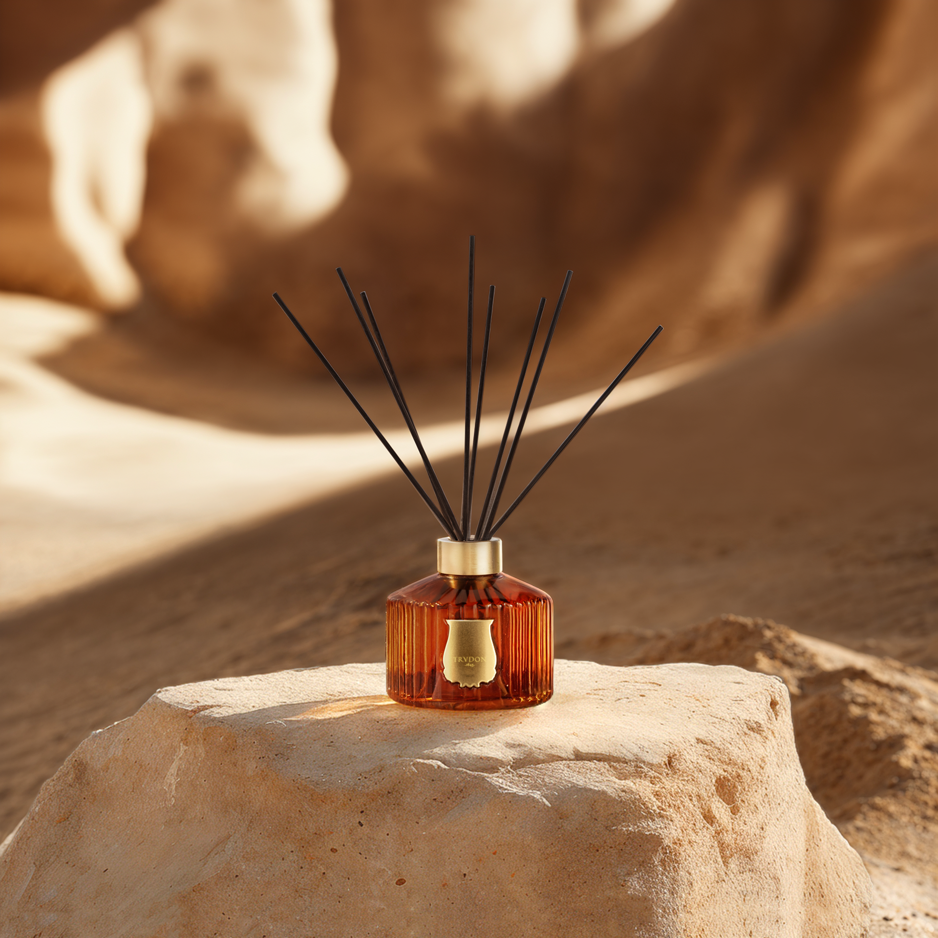 Trudon | The Great Diffuser Altair 1000ml – THREE OVER SIX